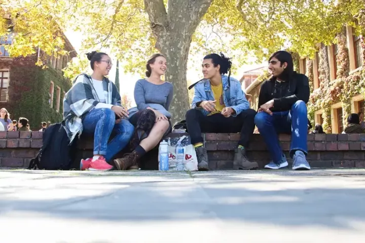 UCT Semester Study Abroad Programme | Faculty of Commerce